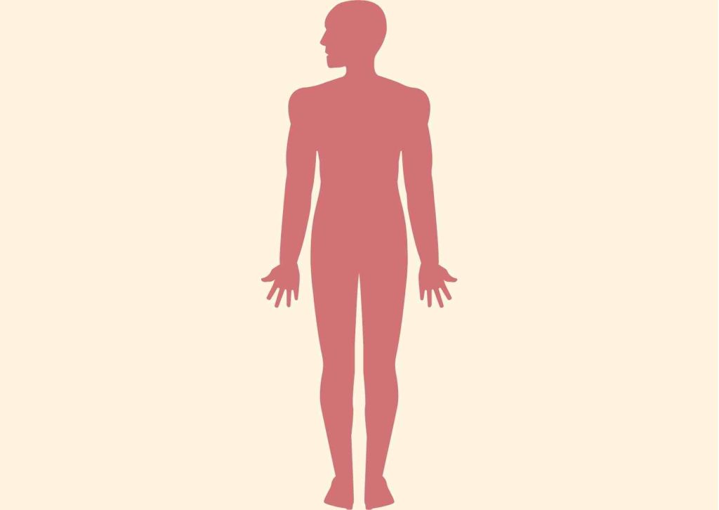 【jeebu認定セラピストが教える】ヘッドスパを受けると身体の調子が良くなる理由 - 淀屋橋/肥後橋のドライヘッドスパ×鍼灸専門店 jeebu