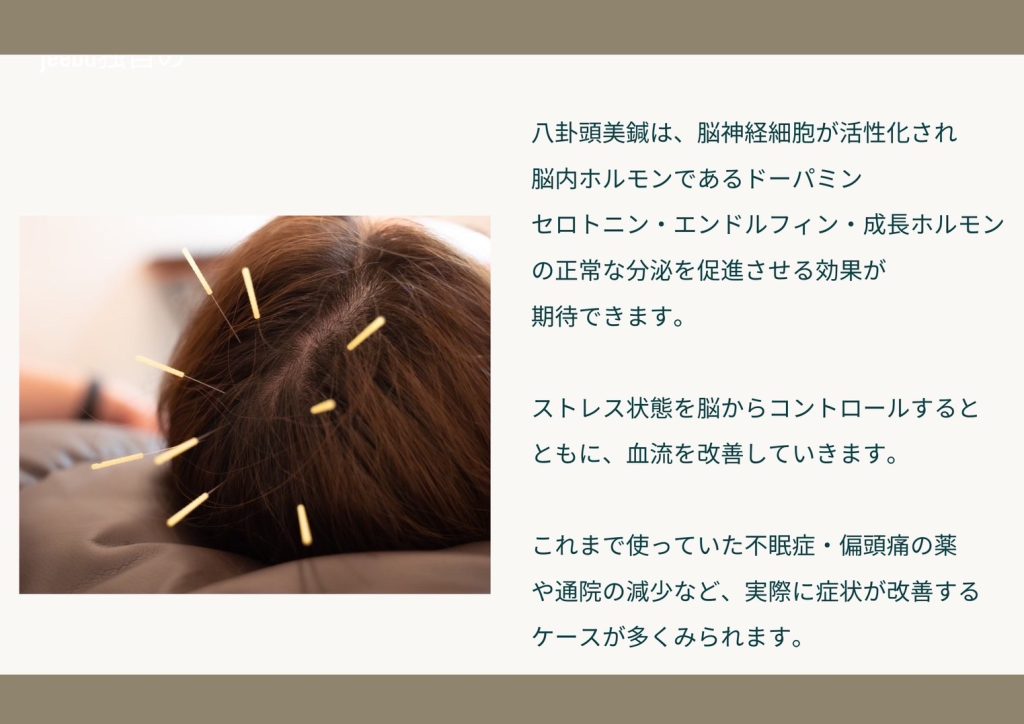 料金・コース一覧 - 淀屋橋/肥後橋のドライヘッドスパ×鍼灸専門店 jeebu