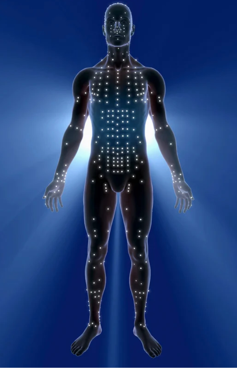 経穴ってなに？ - 淀屋橋/肥後橋のドライヘッドスパ×鍼灸専門店 jeebu
